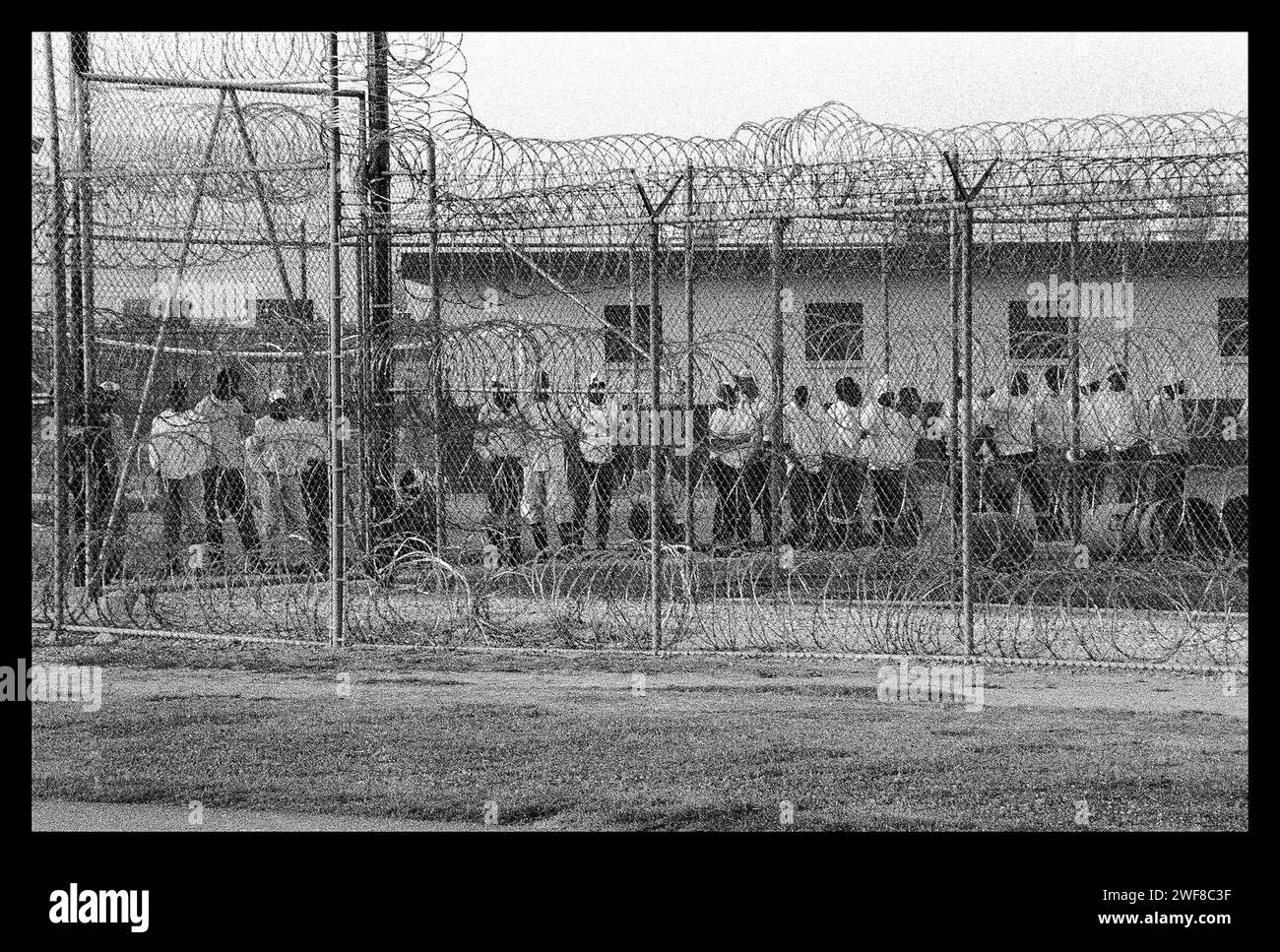 This 2004 photo shows prisoners lining up for work call in a yard ...