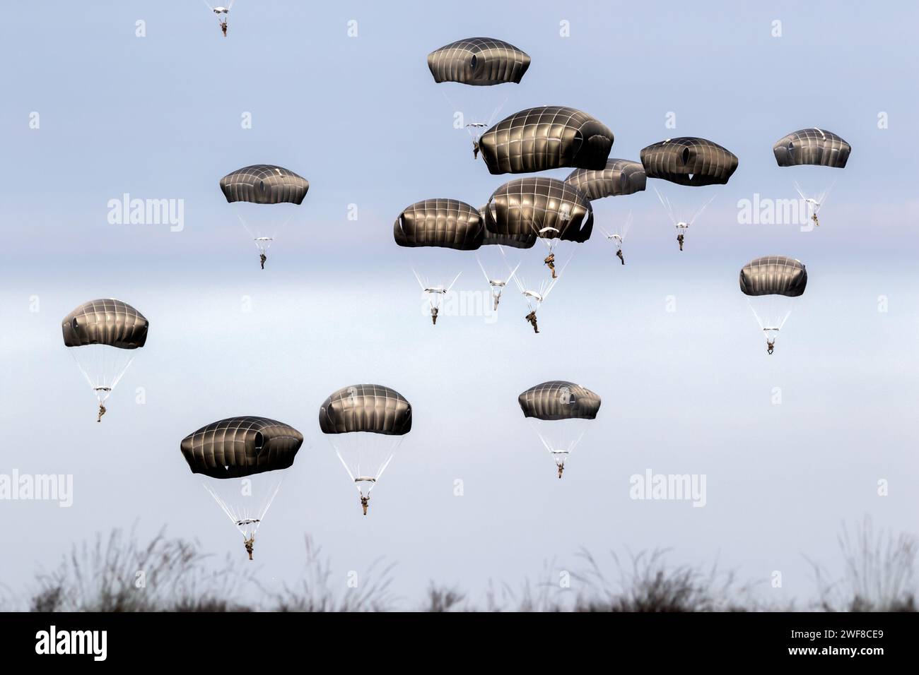 Military parachutist paratroopers parachute jumping out of an air force ...