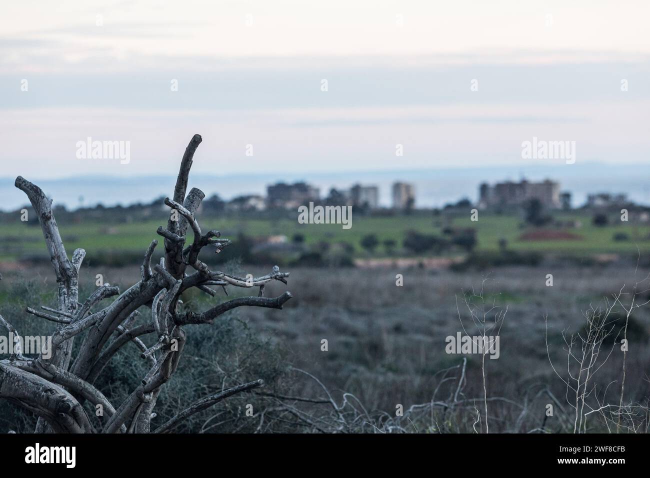 January 28, 2024, Derynia, Ammochostos (Famagusta, Cyprus: The Varosha ...