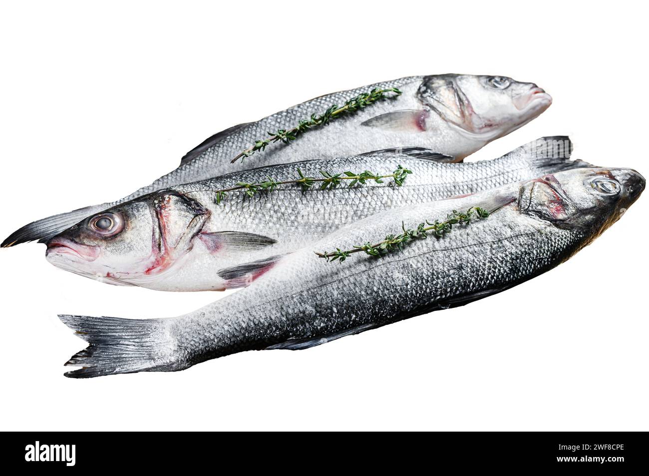 Raw seabass fish on a tray. Isolated on white background. Top view ...