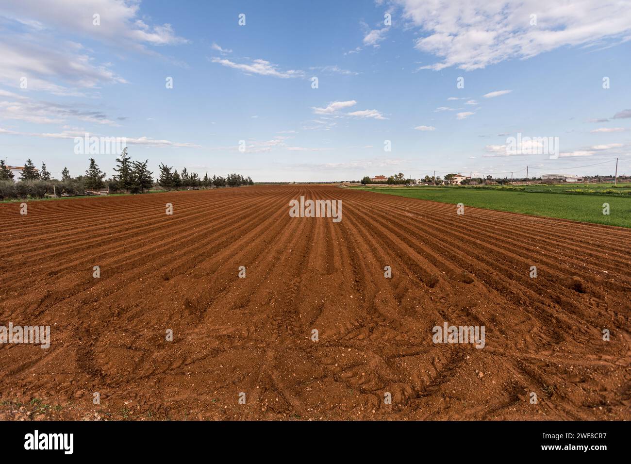 Avgorou, Cyprus. 28th Jan, 2024. A field with red soil is seen near ...