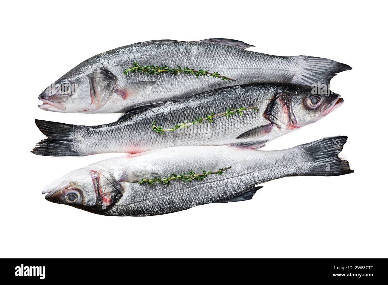 Raw seabass fish Isolated on white background. Top view Stock Photo - Alamy