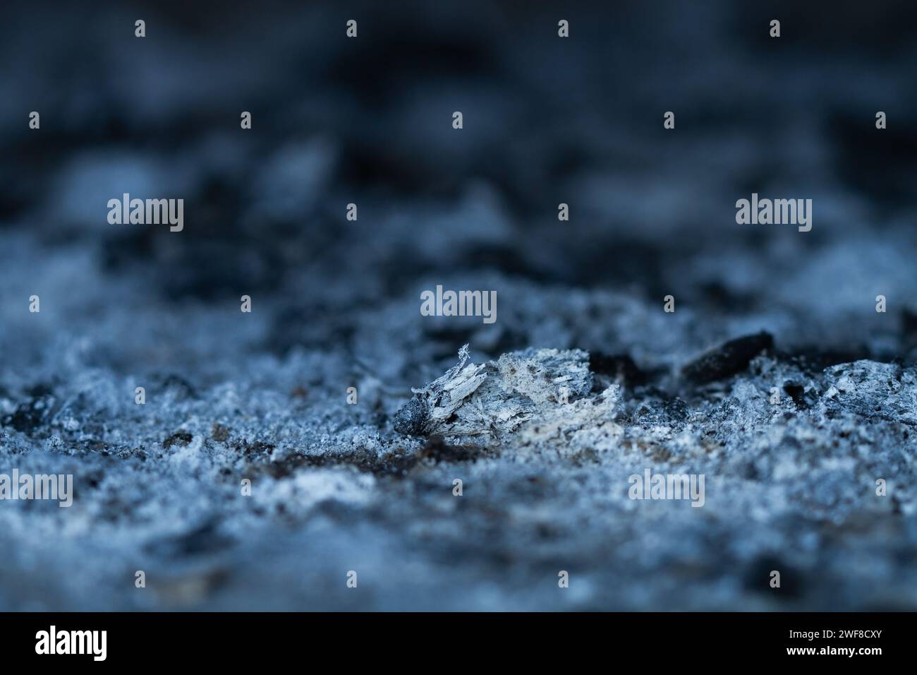 Ashes of coal in a close up view Stock Photo - Alamy