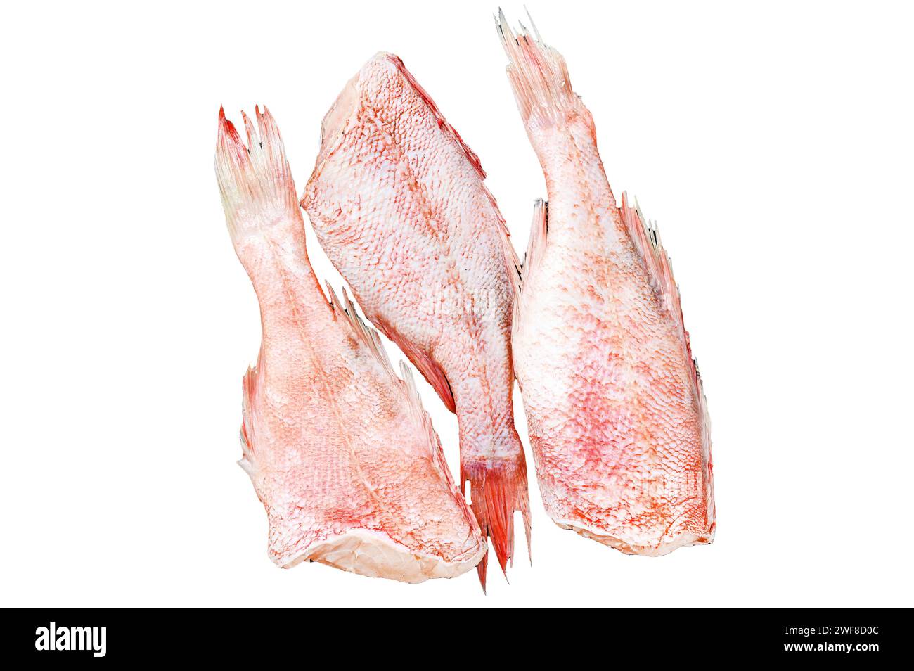 Raw Red perch or seabass fish Isolated on white background. Top view ...