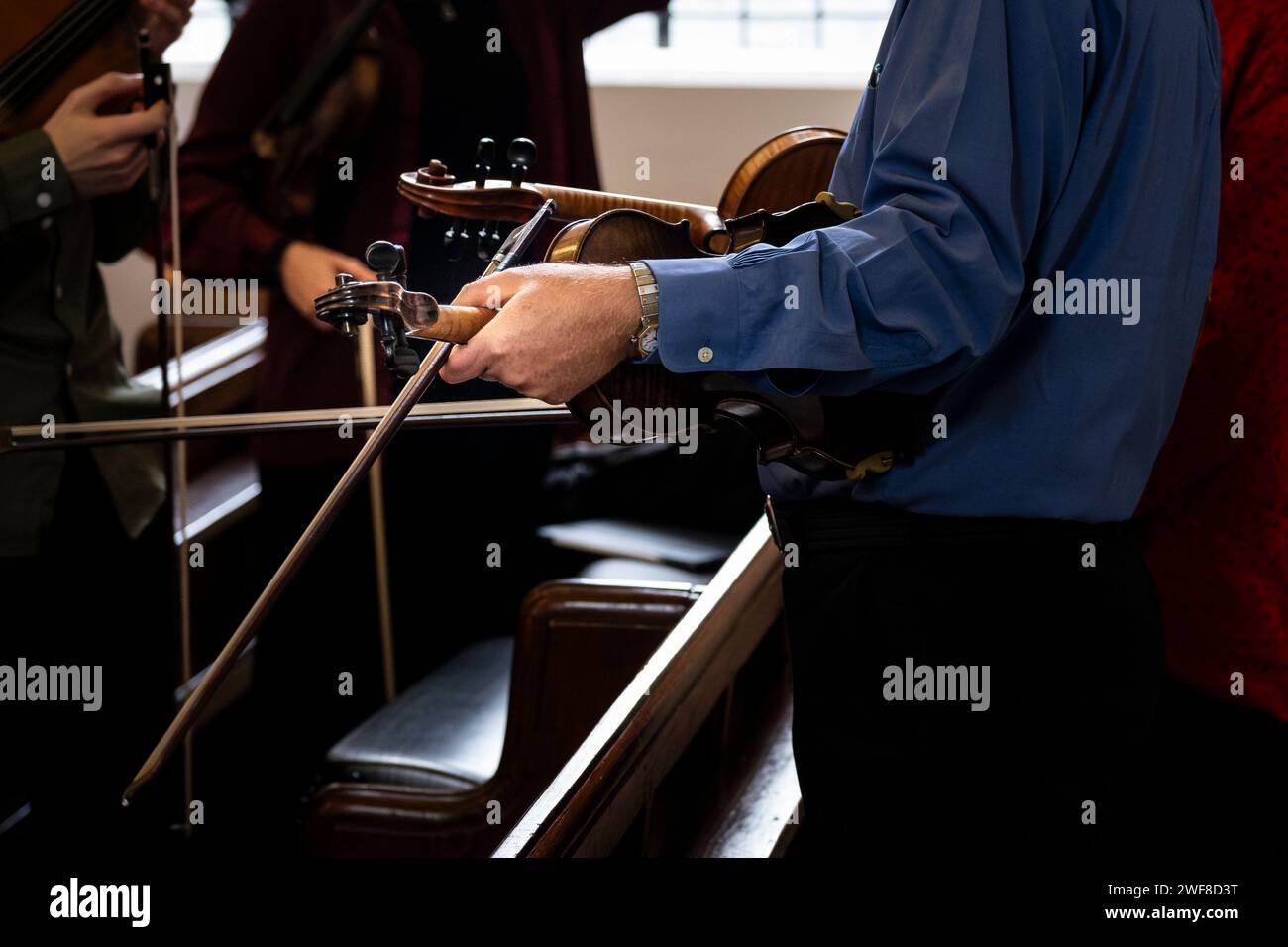 Musicians holding their violins Stock Photo - Alamy