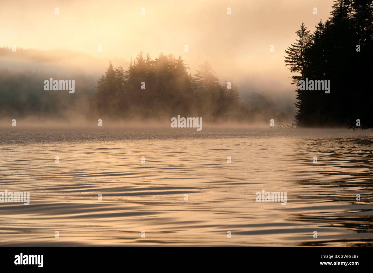 Mist at Jewitt Island on Tahkenitch Lake, Oregon Dunes National ...