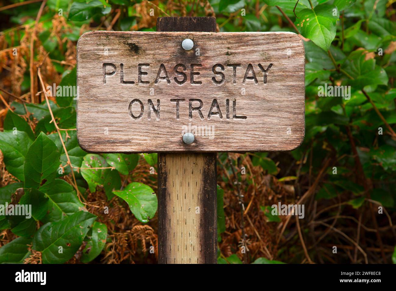 Trail sign at Tahkenitch Dune Trail, Oregon Dunes National Recreation ...