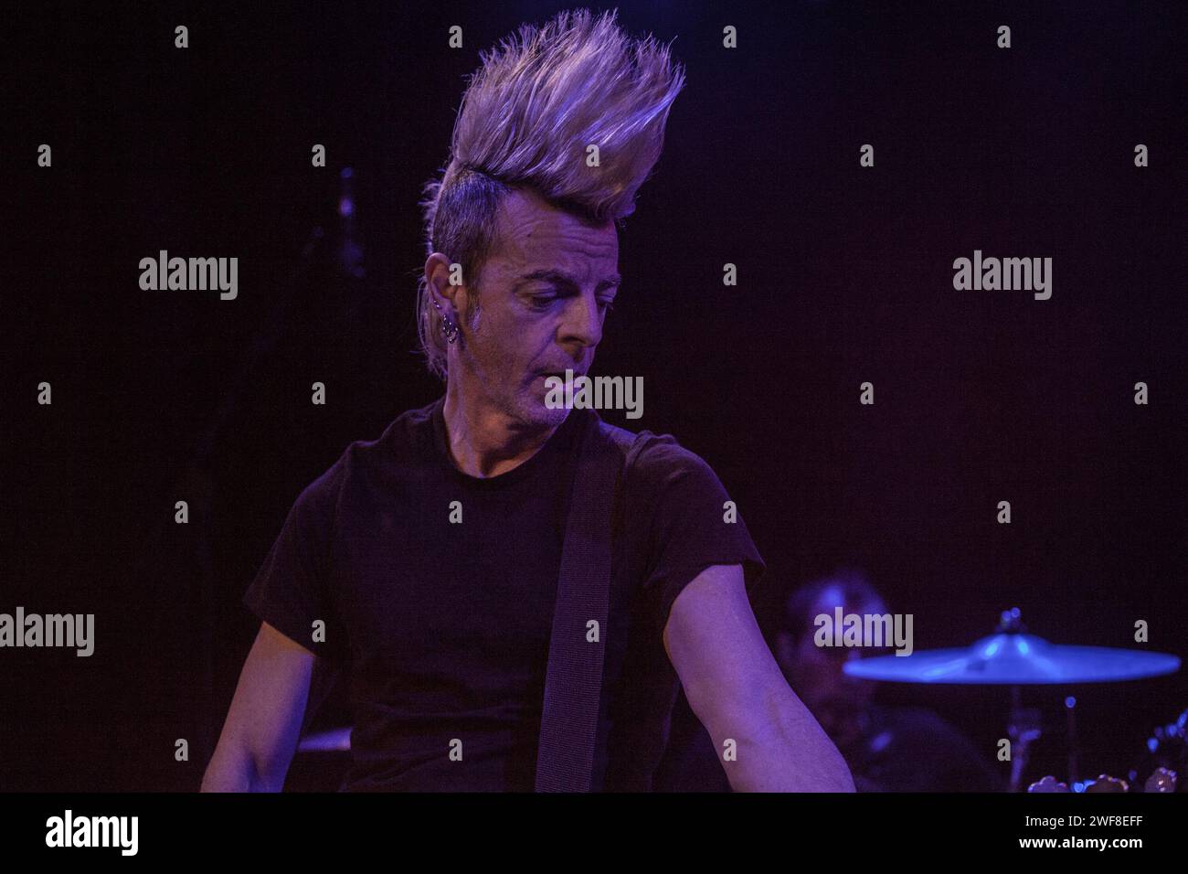 Christopher shayne hi-res stock photography and images - Alamy