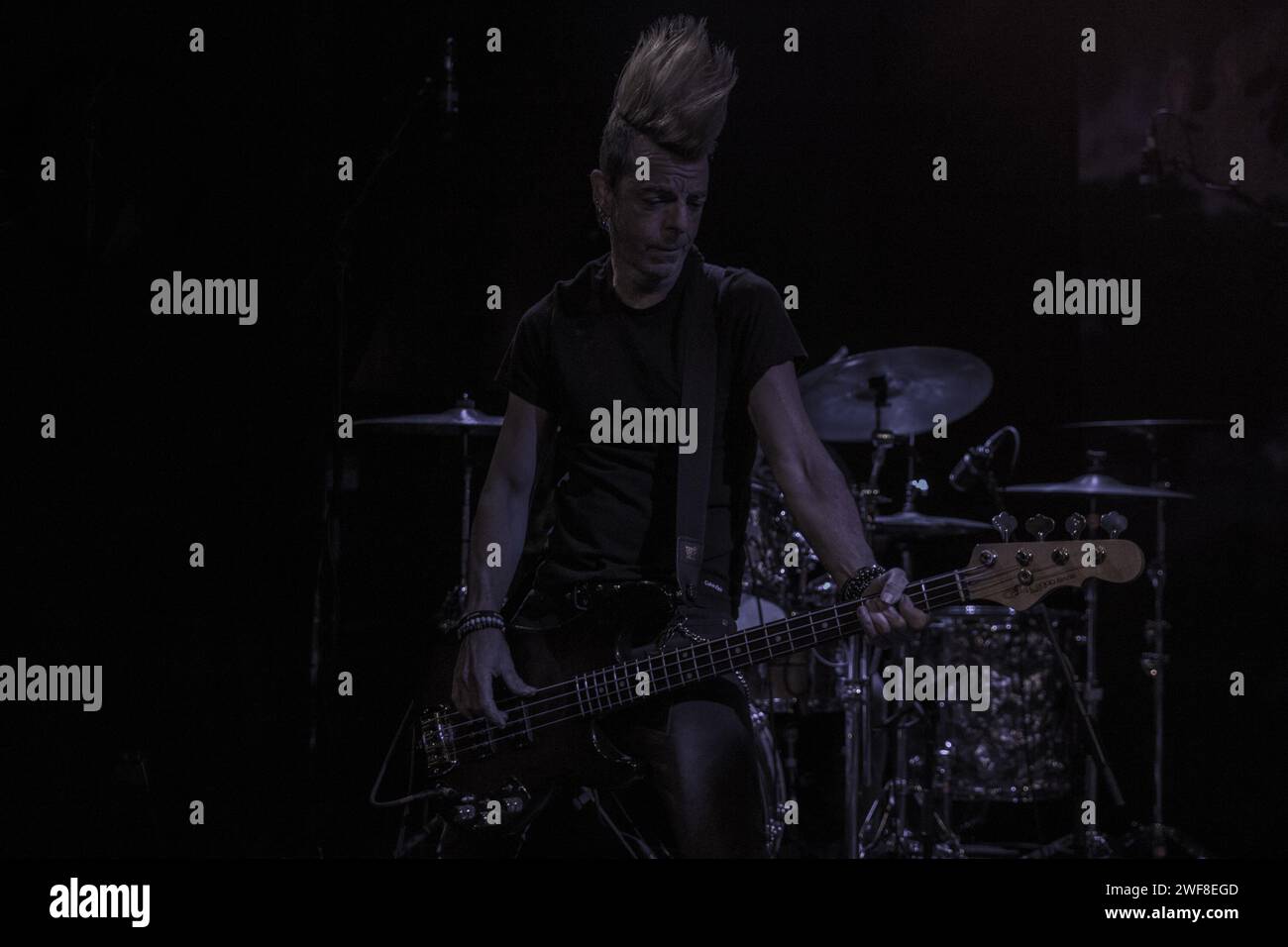 Christopher shayne live in italy hi-res stock photography and images ...