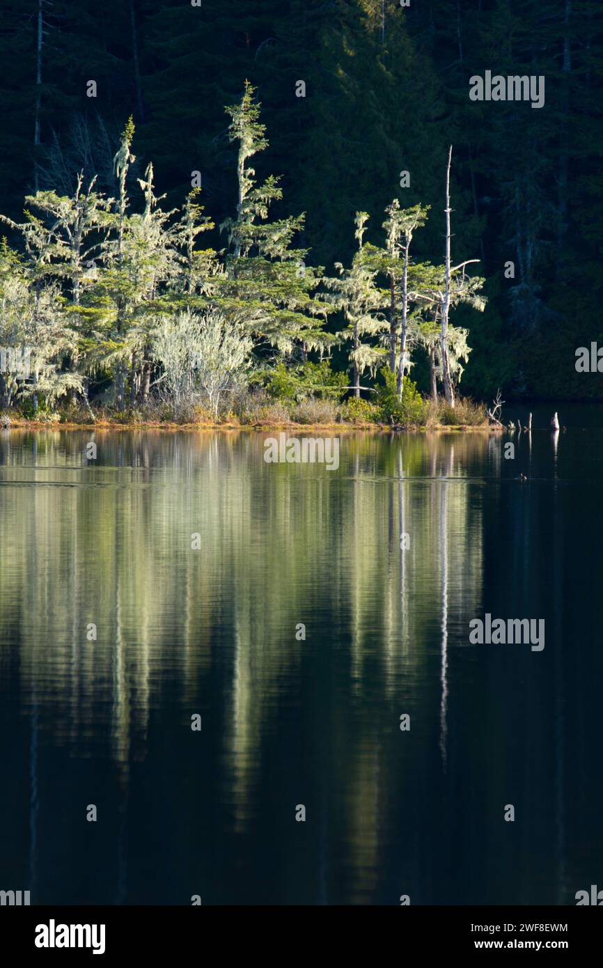 Tahkenitch Lake, Oregon Dunes National Recreation Area, Oregon Stock ...