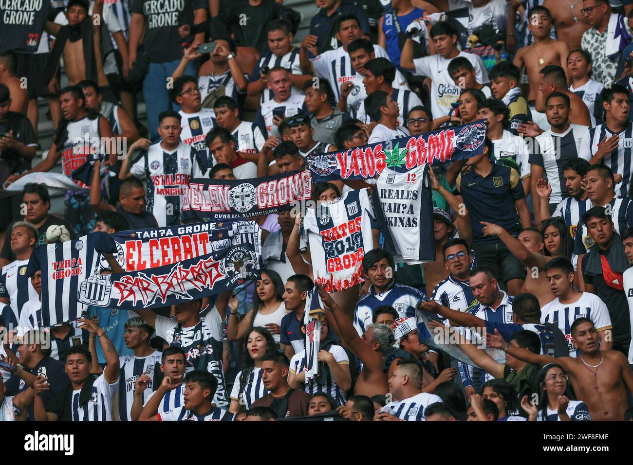 Alianza Lima fans on the stands during the Liga 1 match between Alianza ...