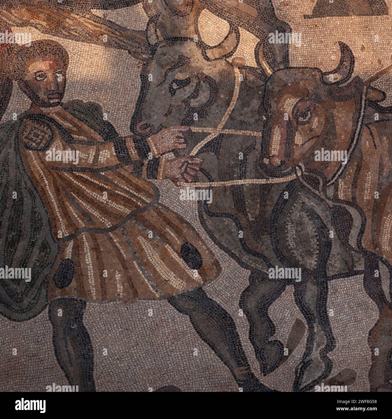 Hunter hauls two oxen. Detail from Late Roman mosaic in the Corridor of ...