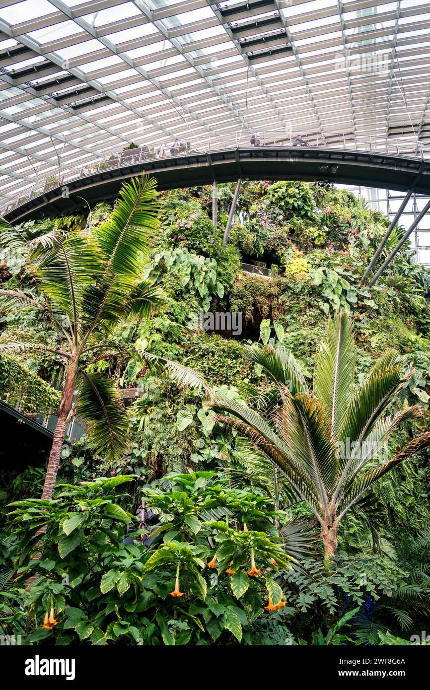 An Indoor Rainforest Garden (Cloud Forest, Gardens by the Bay ...
