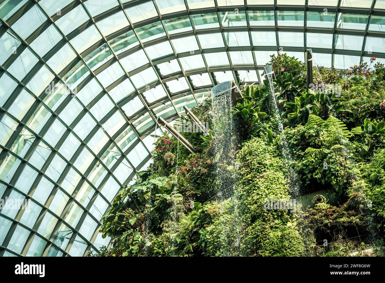 An Indoor Rainforest Garden (Cloud Forest, Gardens by the Bay ...