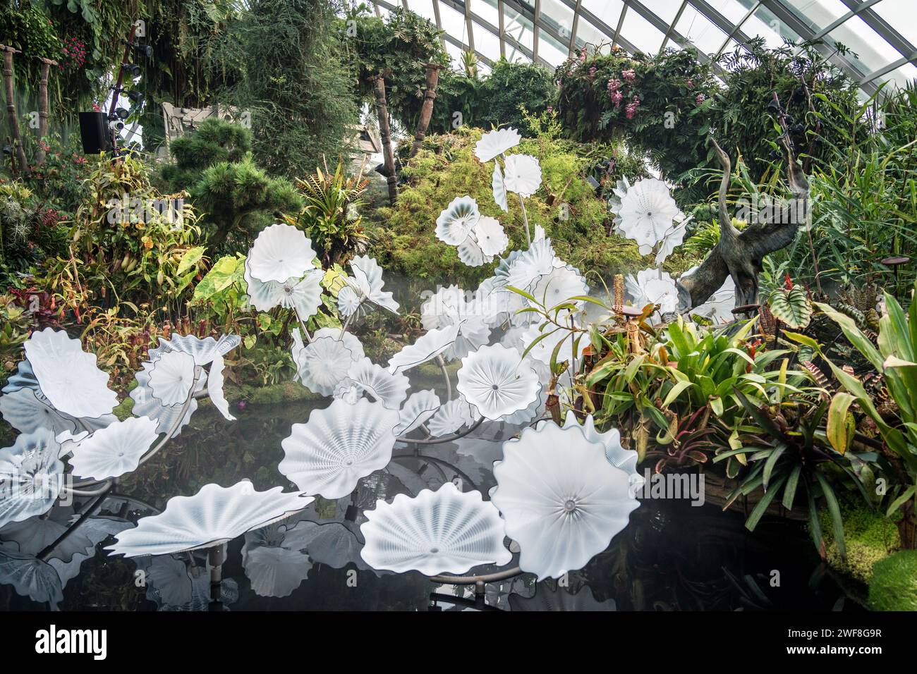 An Indoor Rainforest Garden (Cloud Forest, Gardens by the Bay ...