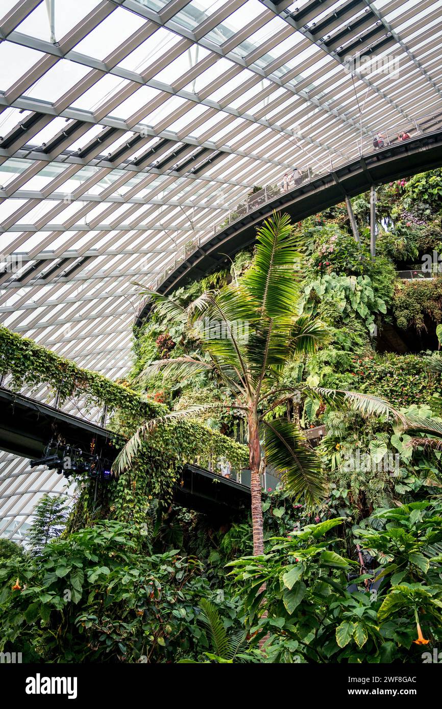An Indoor Rainforest Garden (Cloud Forest, Gardens by the Bay ...