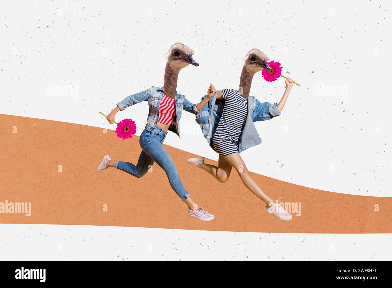Creative collage picture illustration two headless absurd ostrich ...