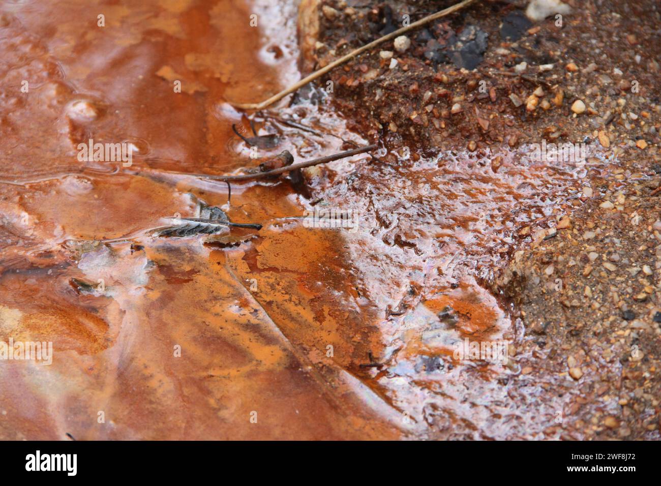 Soil of a former quarry hi-res stock photography and images - Alamy