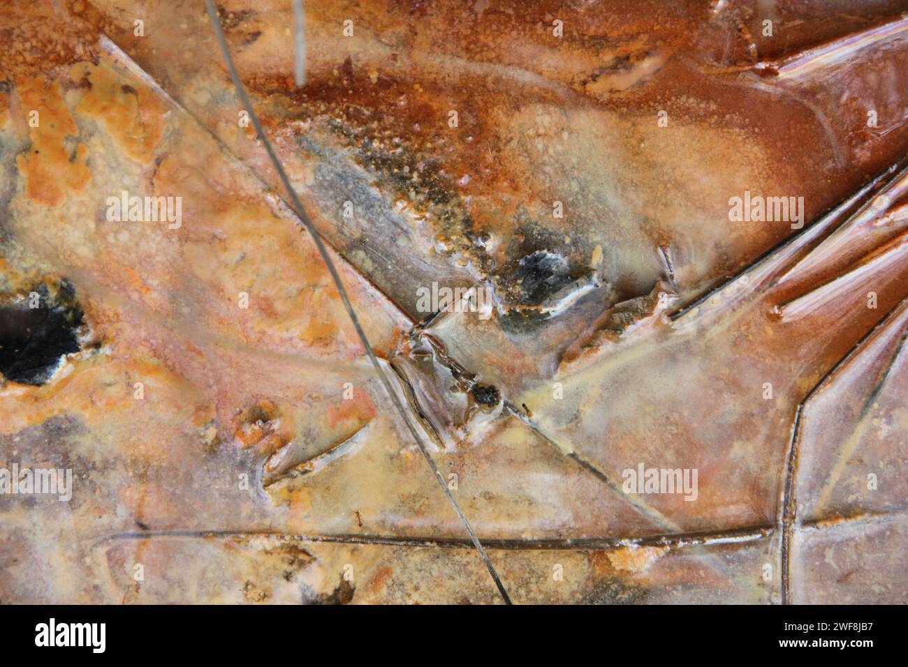 Soil of a former quarry hi-res stock photography and images - Alamy