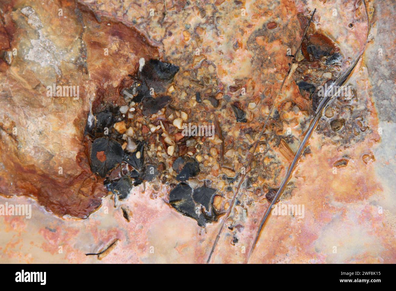 Soil of a former quarry hi-res stock photography and images - Alamy