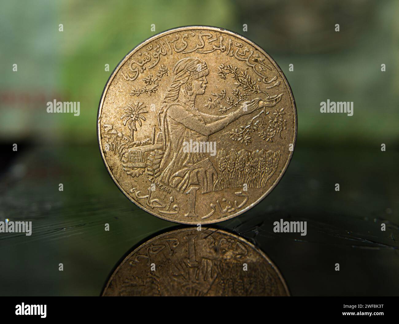 One dinar hi-res stock photography and images - Alamy