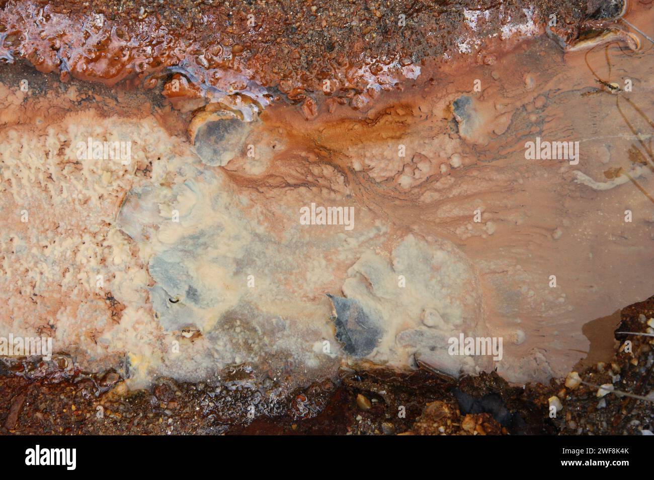 Sol colore hi-res stock photography and images - Alamy