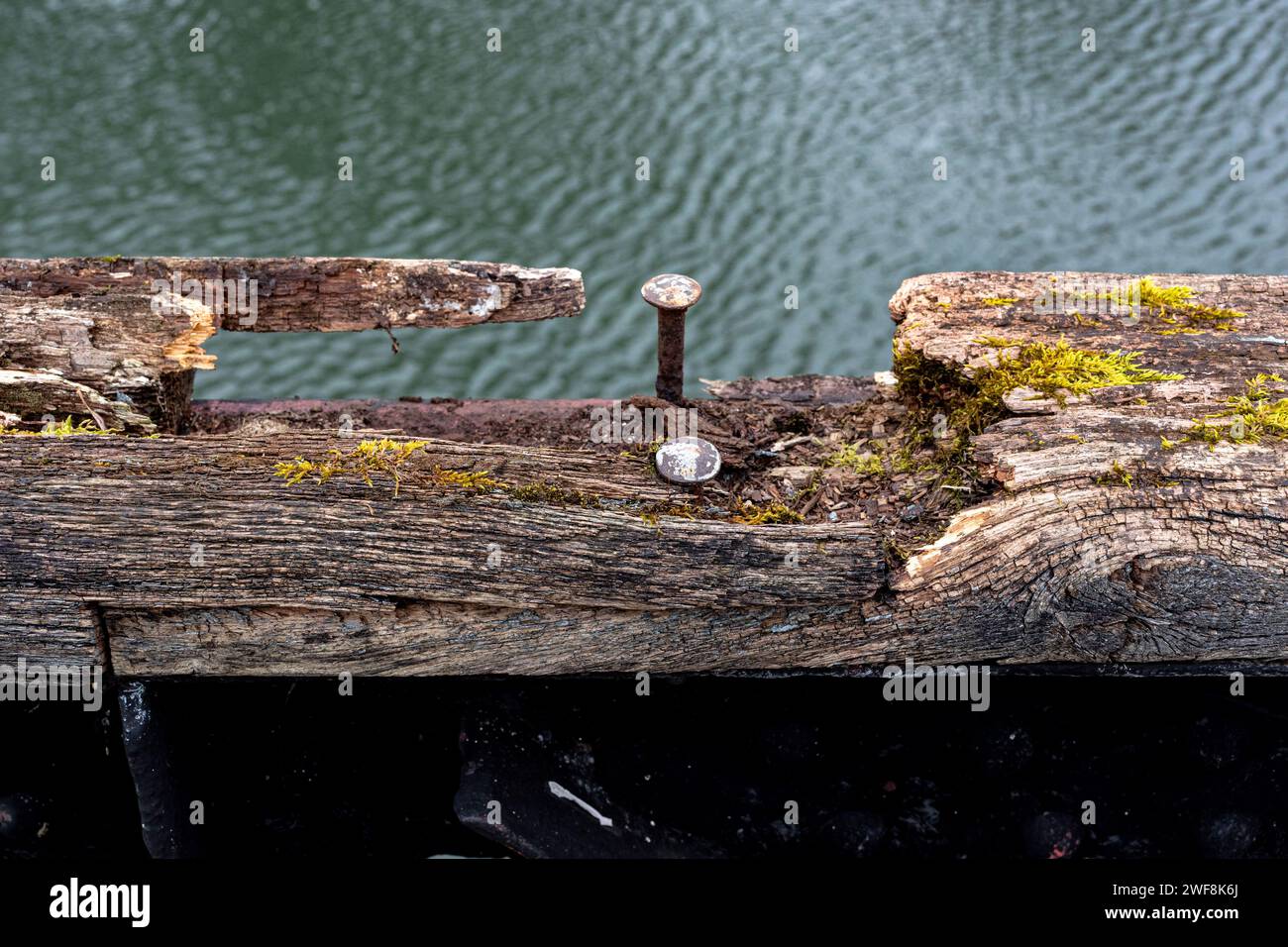 Decaying wood and nails. Picture by Shaun Fellows / Alamy Stock Photo ...