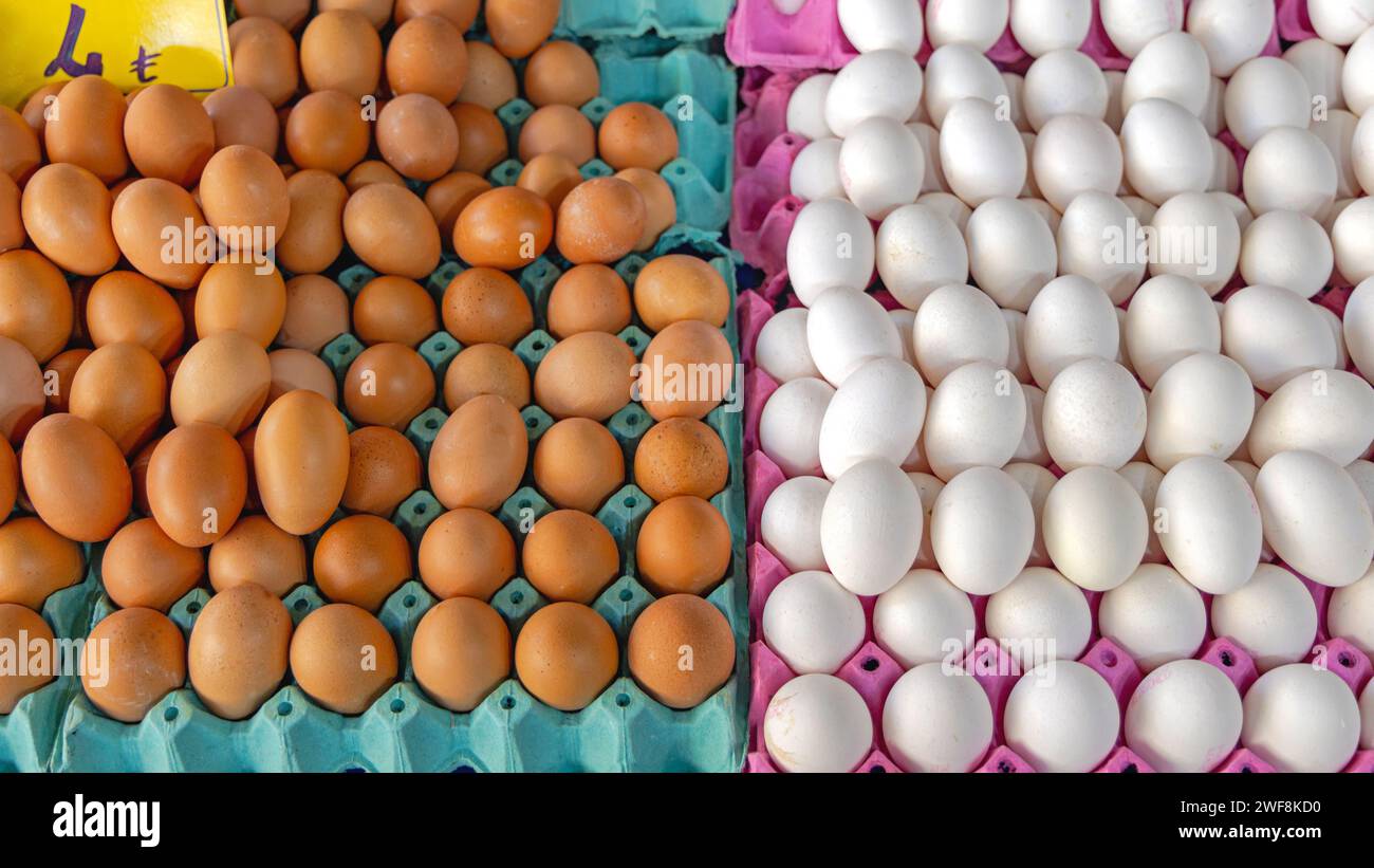Brown and White Chicken Eggs in Carton Trays Stock Photo - Alamy