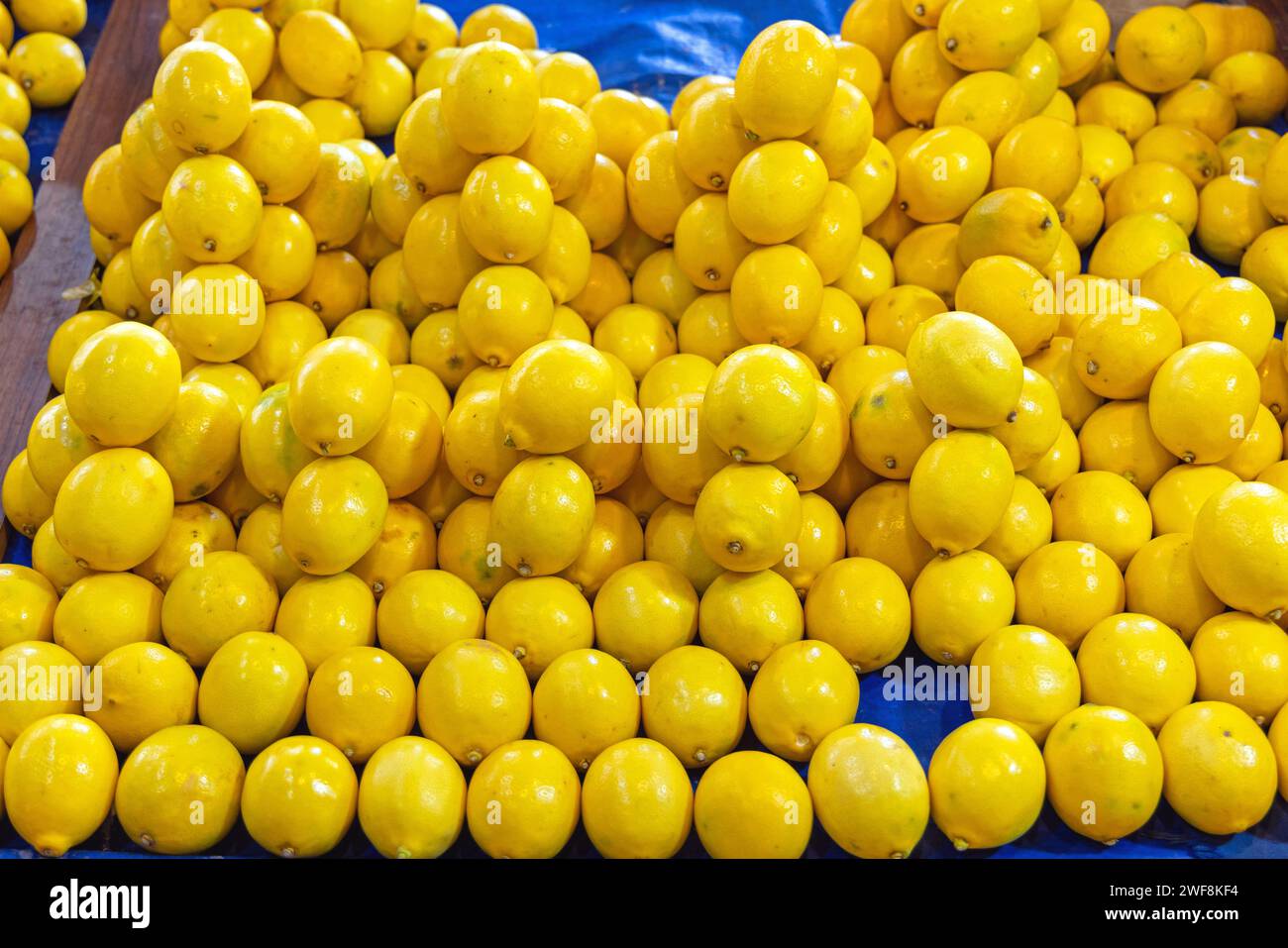 Lemons citrus fruits hi-res stock photography and images - Alamy