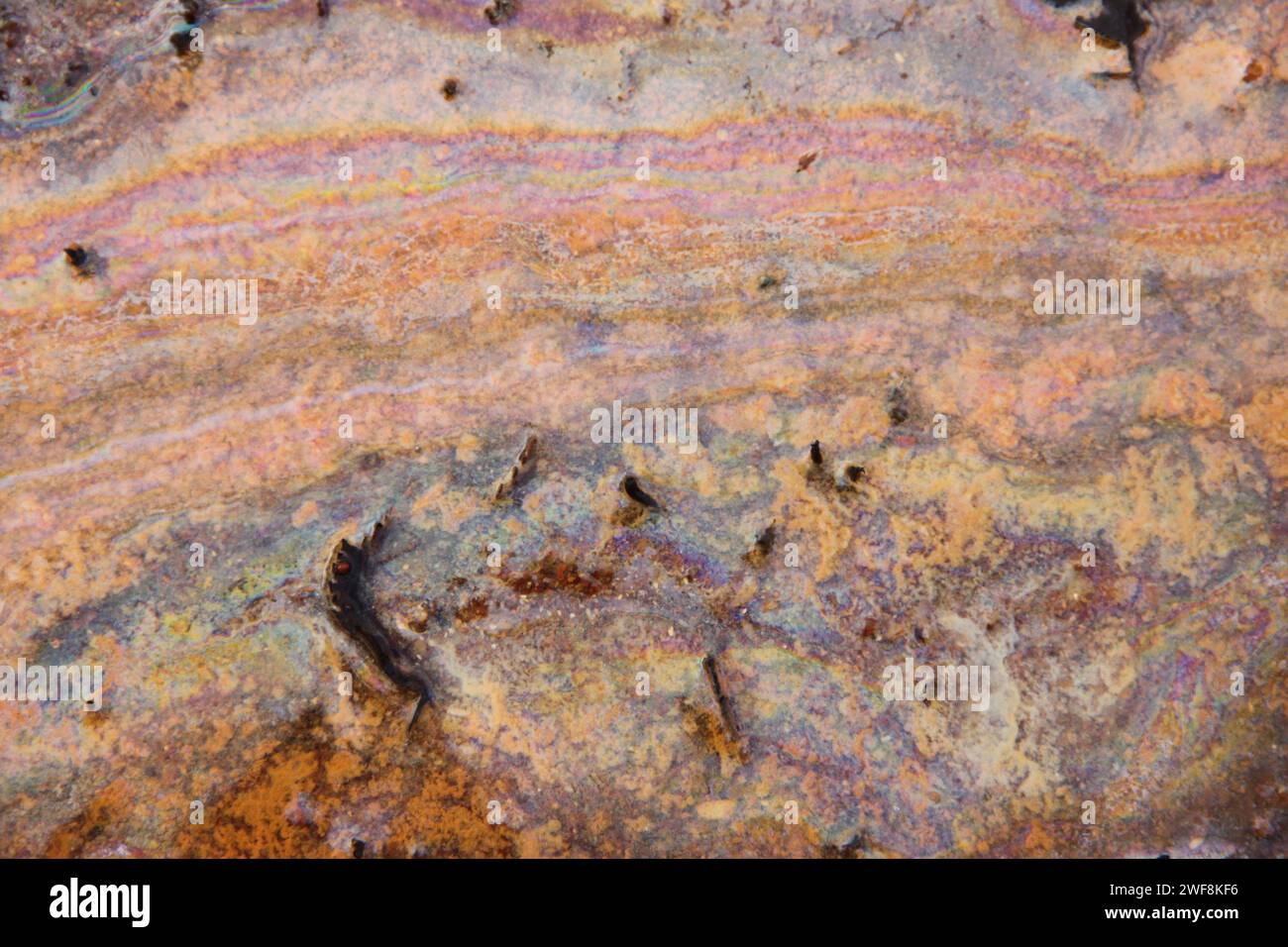 Soil of a former quarry hi-res stock photography and images - Alamy