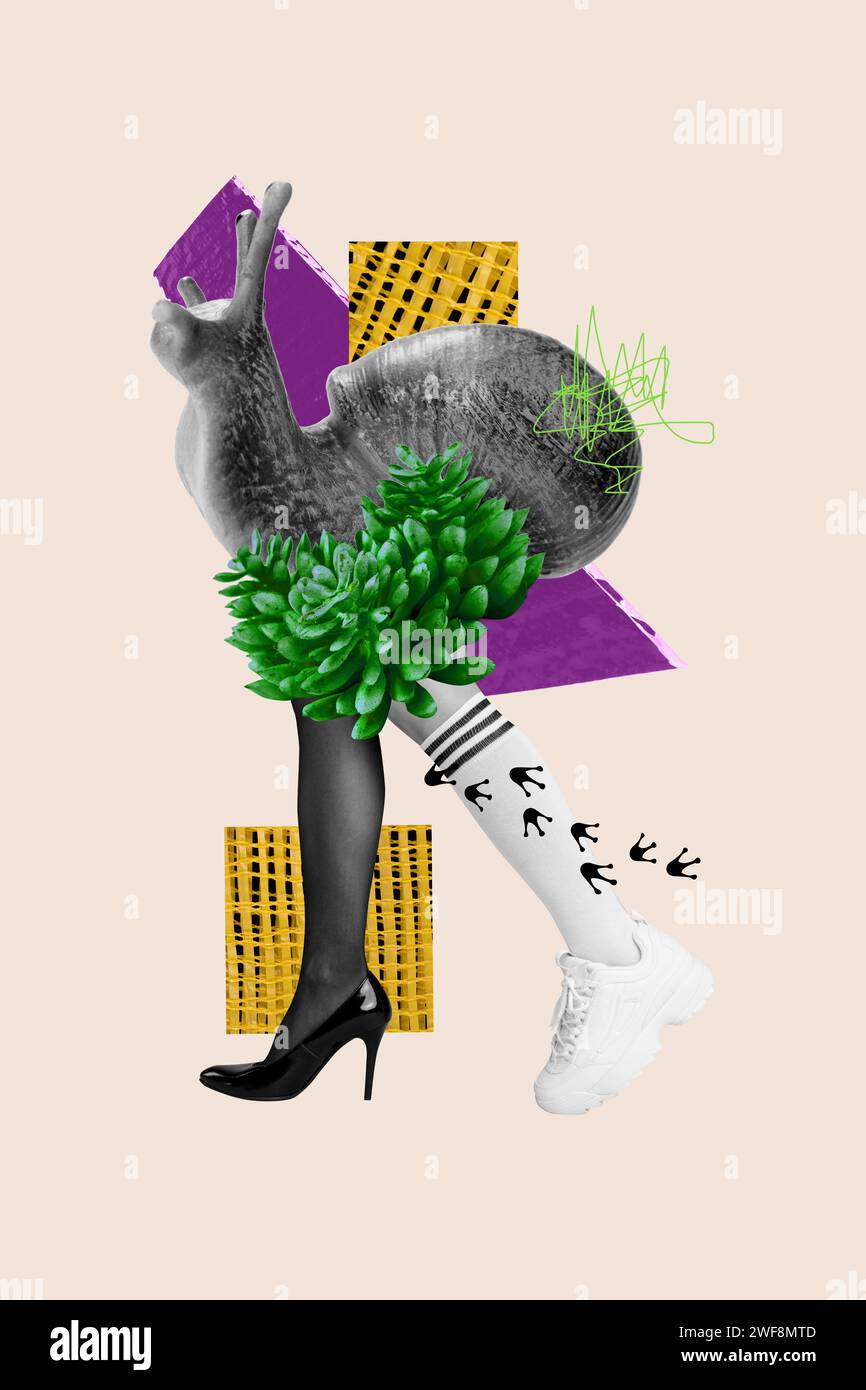 Composite collage picture image of snail animal walking female legs ...