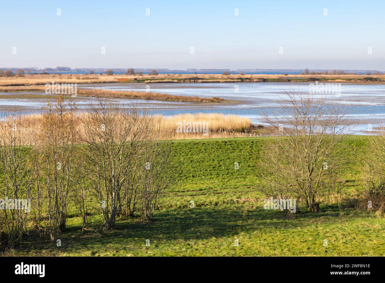 View over the nature reserve Beningerslikken, The Spui and Haringvliet ...