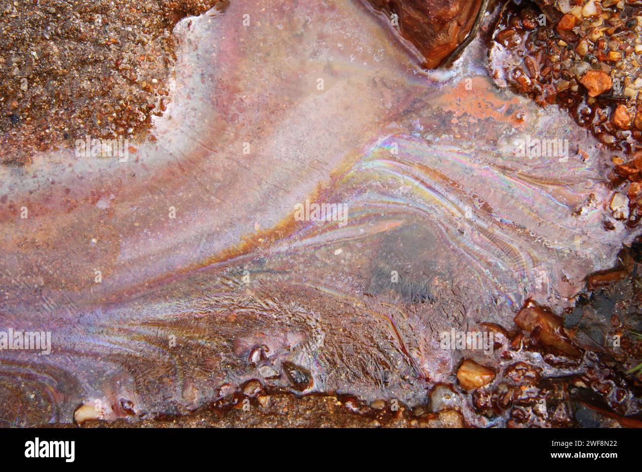 Soil of a former quarry hi-res stock photography and images - Alamy