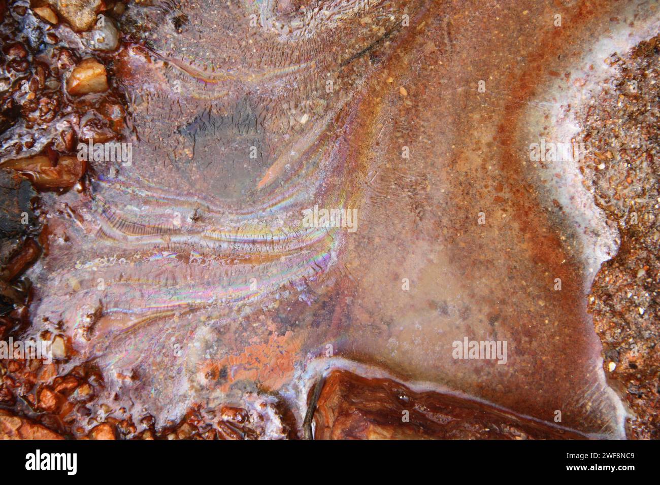 Soil of a former quarry hi-res stock photography and images - Alamy