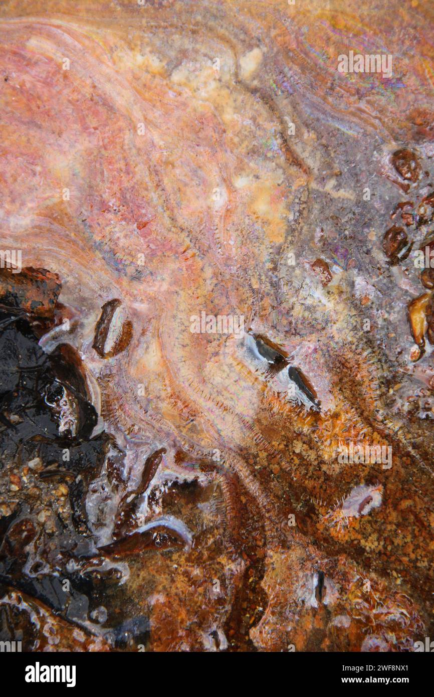 Soil of a former quarry hi-res stock photography and images - Alamy