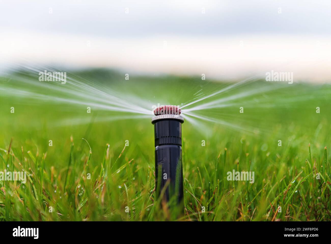 Automatic irrigation system hi-res stock photography and images - Alamy