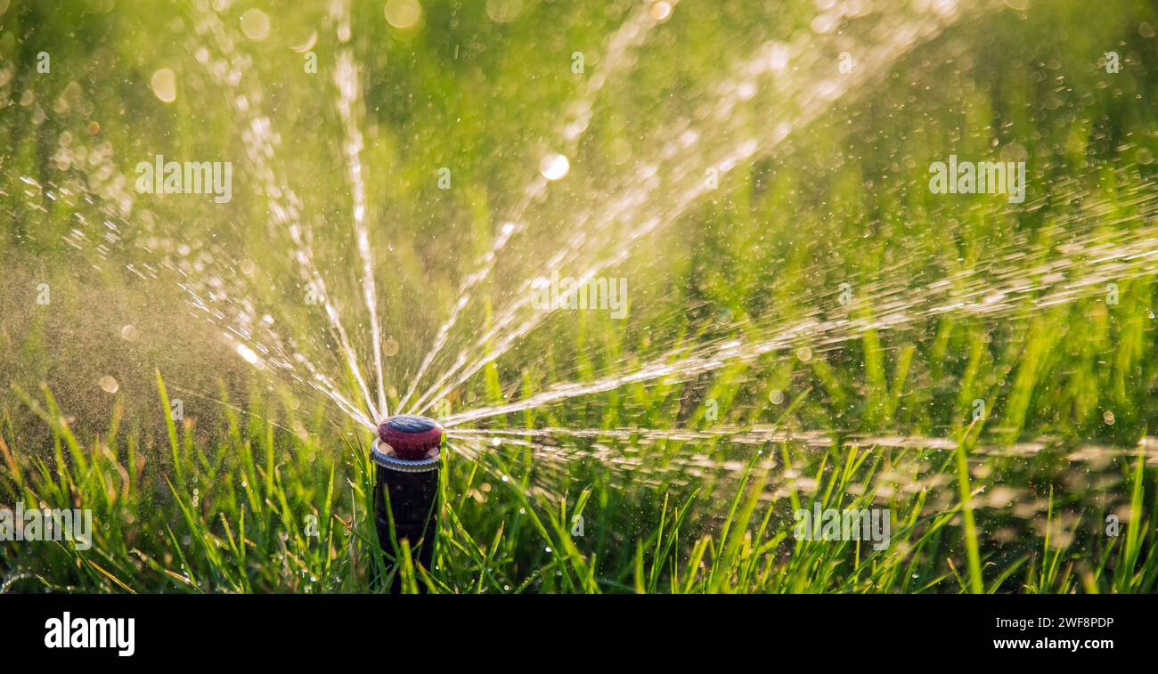 Close-up of irrigation sprinkler system watering the lawn under the ...