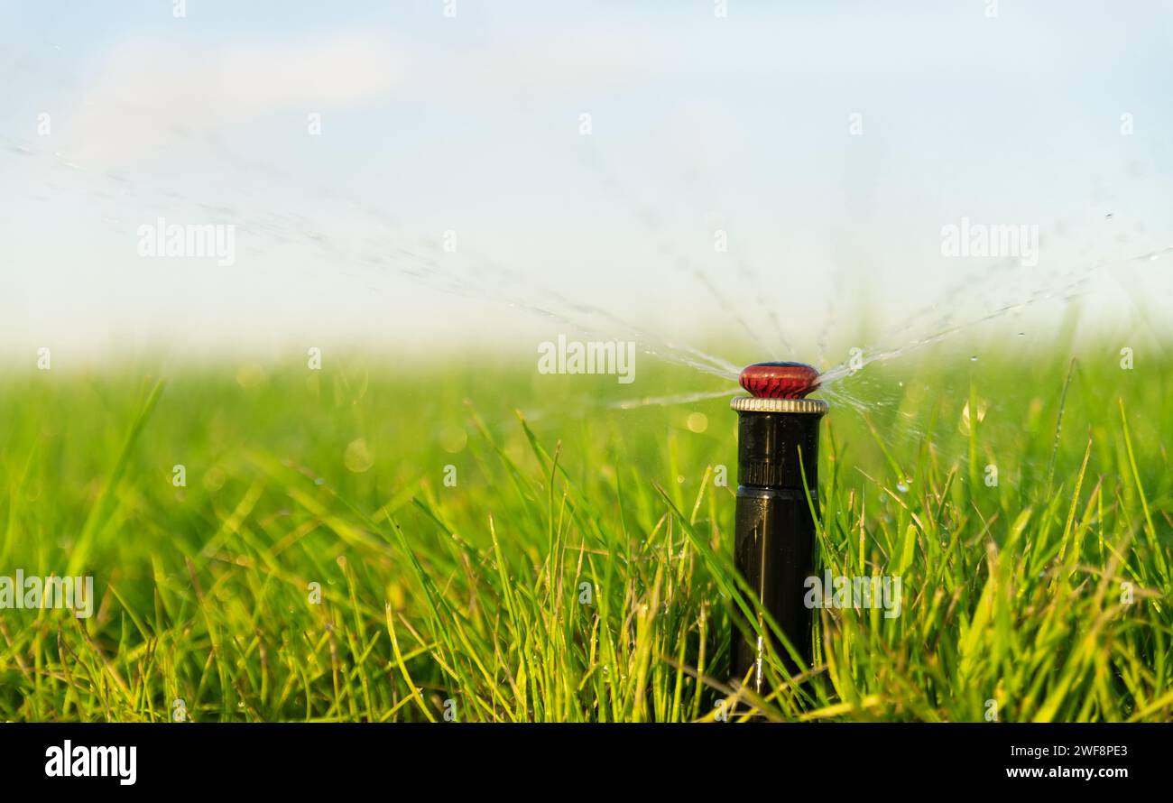 Automatic sprinkler timer hi-res stock photography and images - Alamy