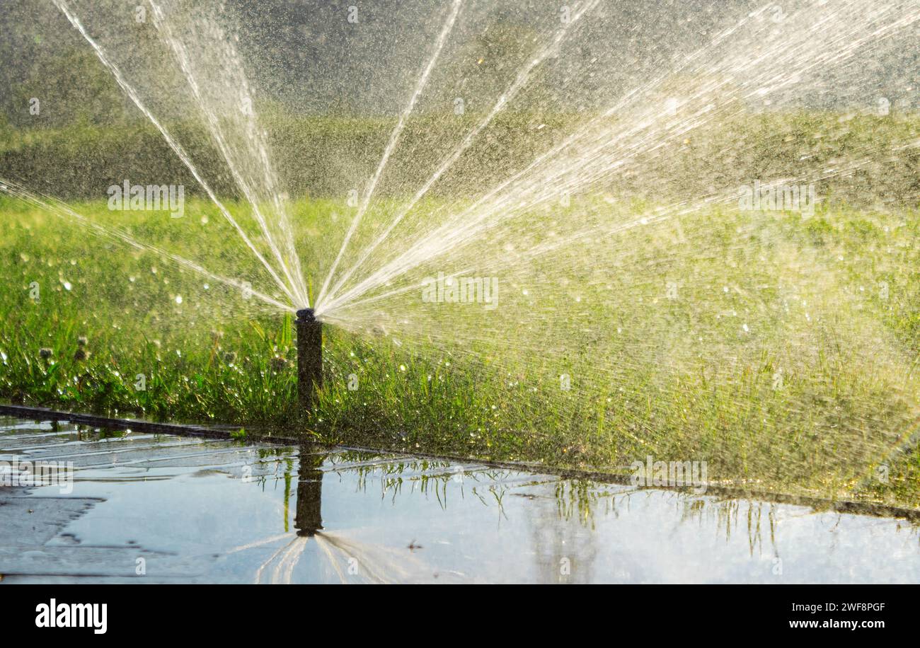 Automatic sprinkler watering the lawn in the park. Irrigation system ...