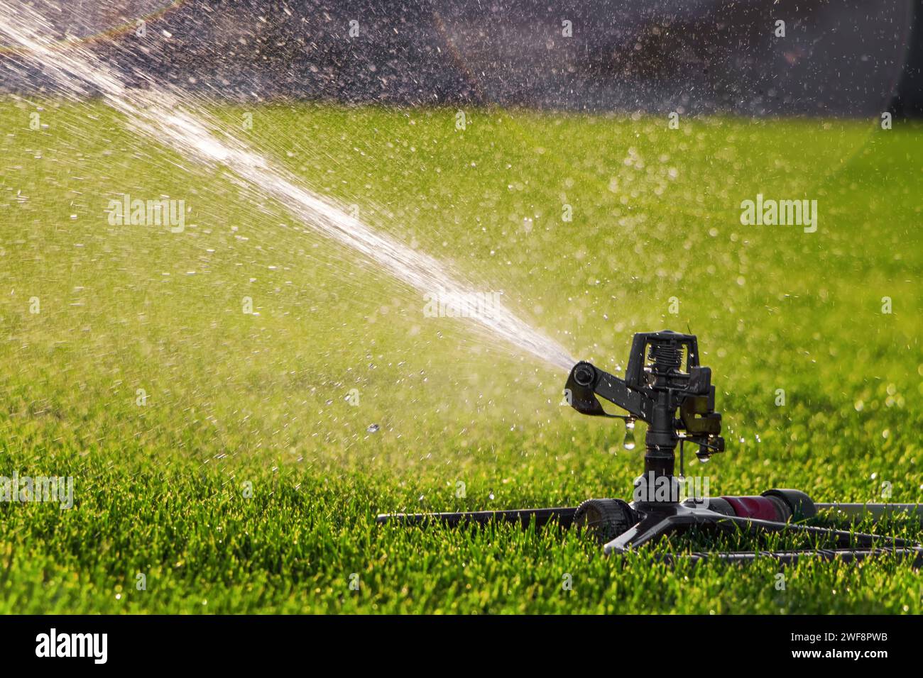 Automatic lawn sprinkler watering green grass on a stadium. Irrigation ...