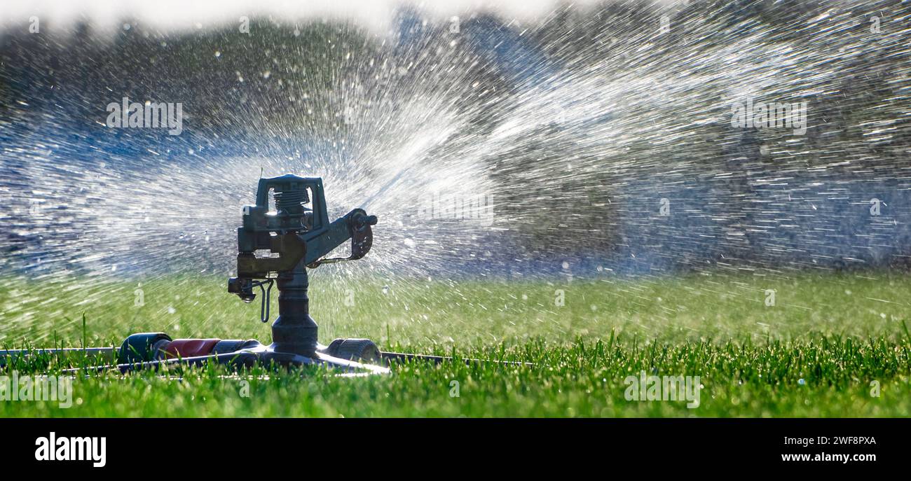 Automatic sprinkler system watering the lawn. close-up Stock Photo - Alamy