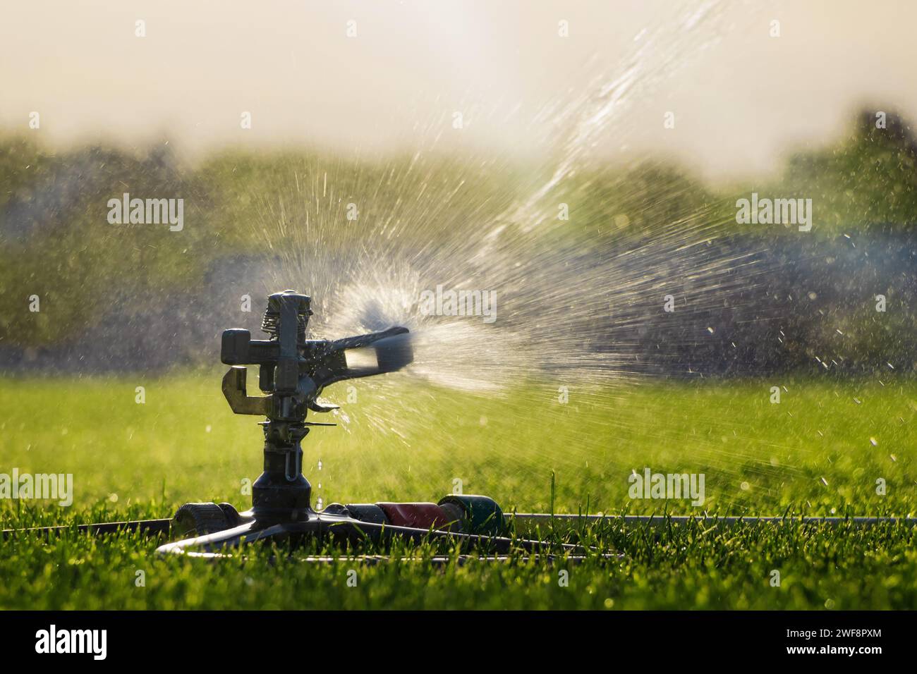 Automatic sprinkler system watering the lawn with green grass Stock ...