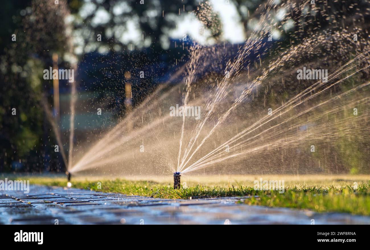 Automatic sprinkler system watering the lawn. Lawn irrigation in public ...