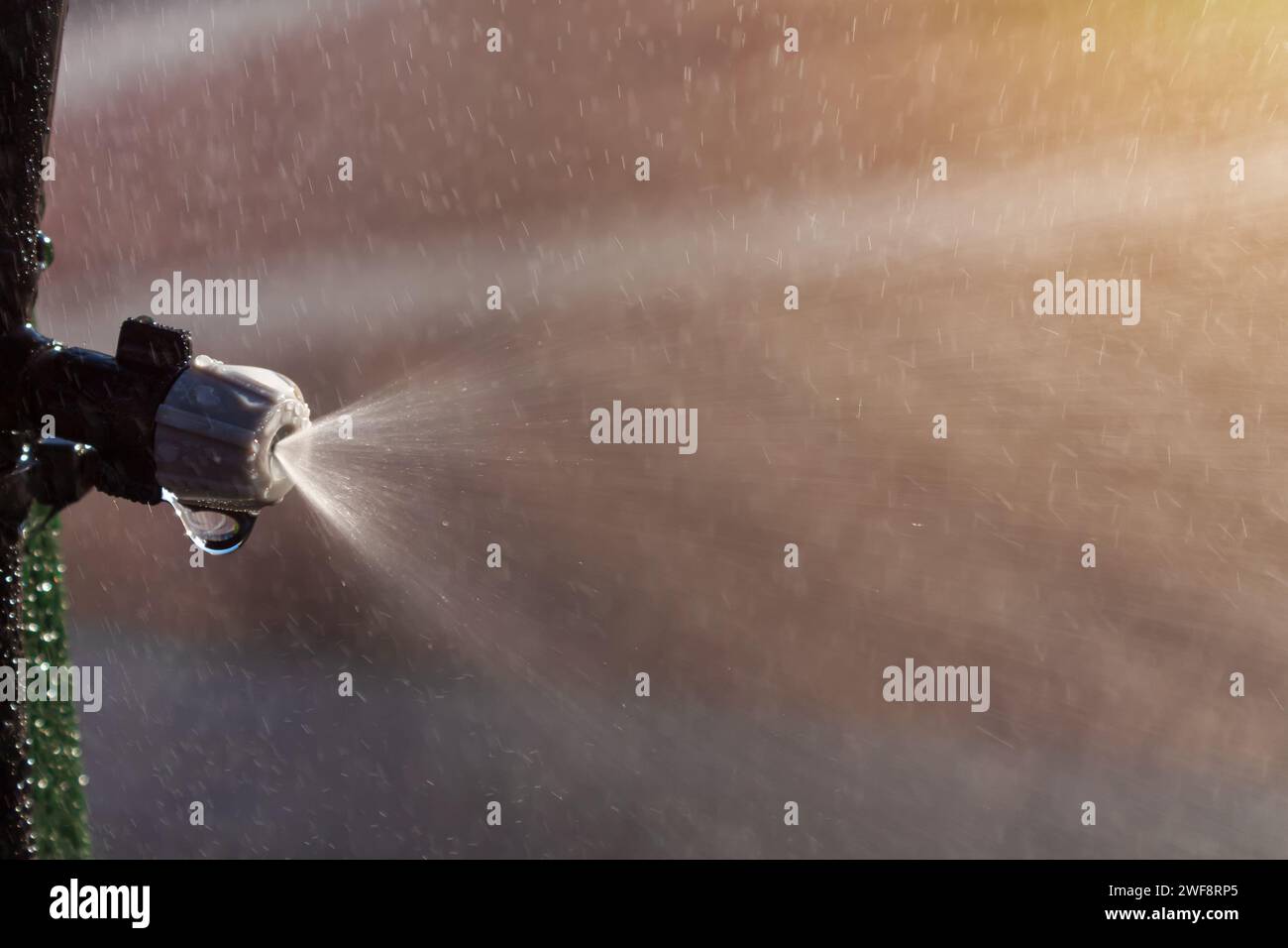 Tree watering system hi-res stock photography and images - Alamy
