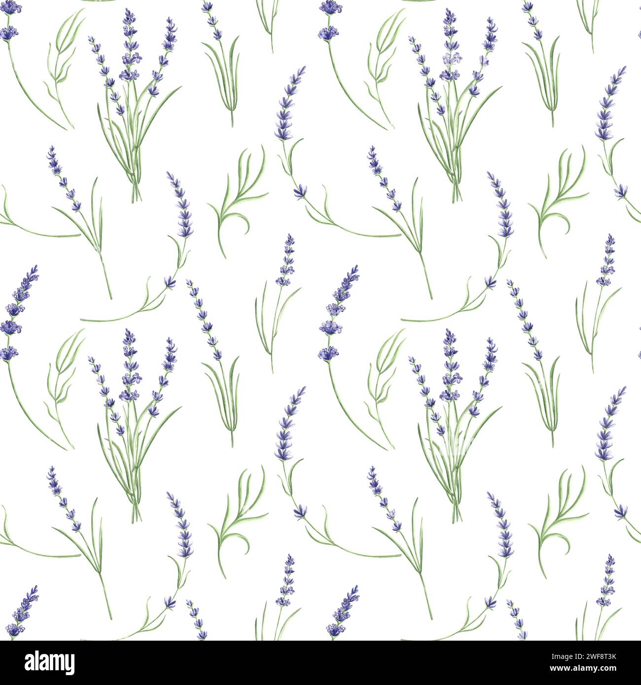 Seamless pattern with purple lavender flowers. Watercolor hand drawn ...