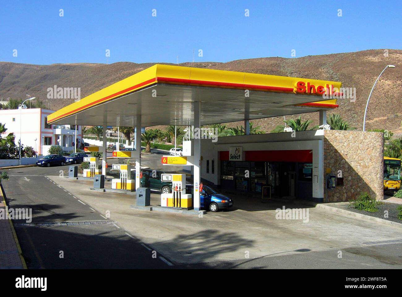 Struktur shell hi-res stock photography and images - Alamy
