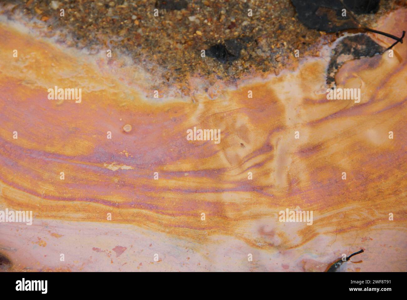 Soil of a former quarry hi-res stock photography and images - Alamy