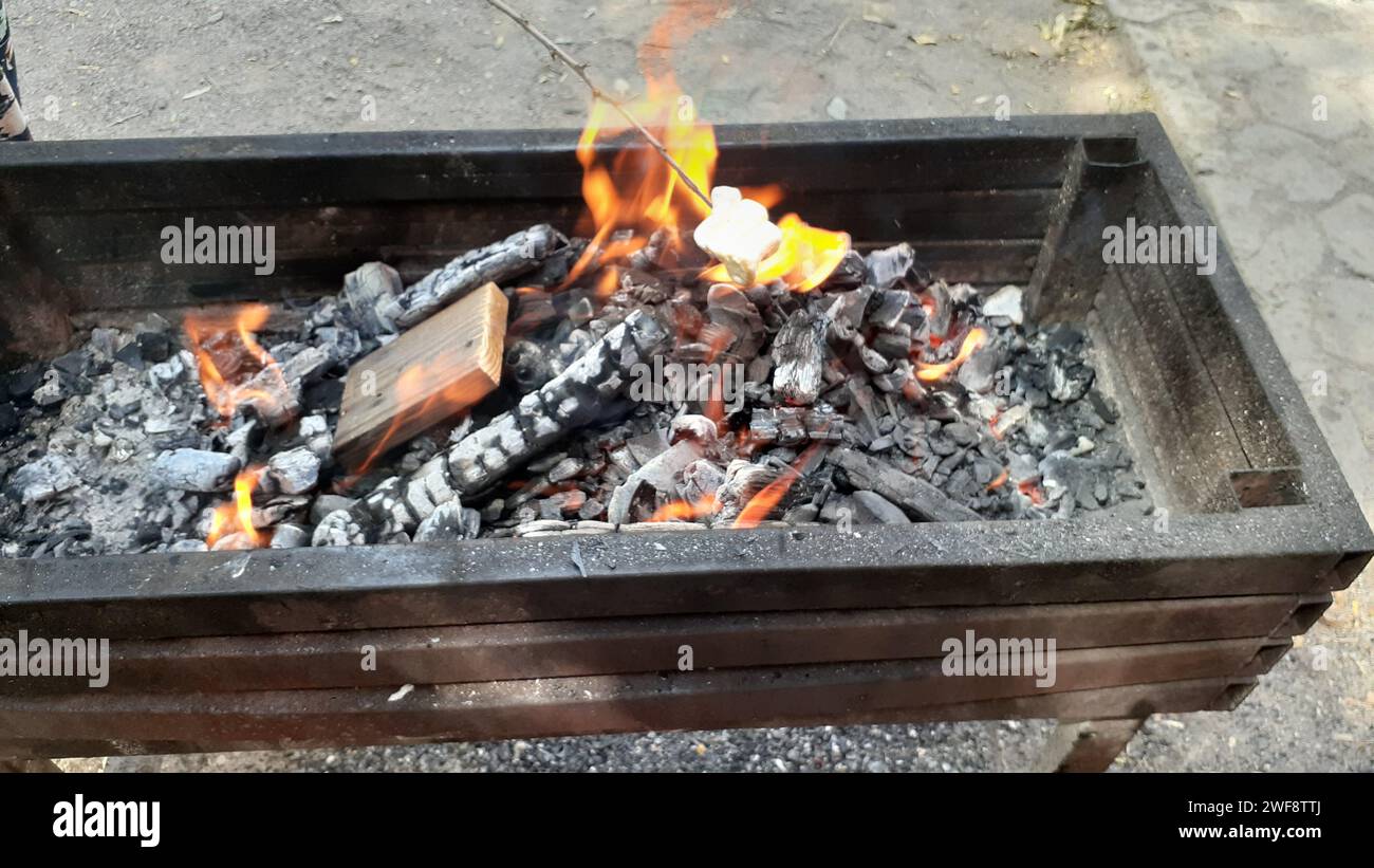 Details of charcoal, wood fire, coal for cooking Stock Photo - Alamy