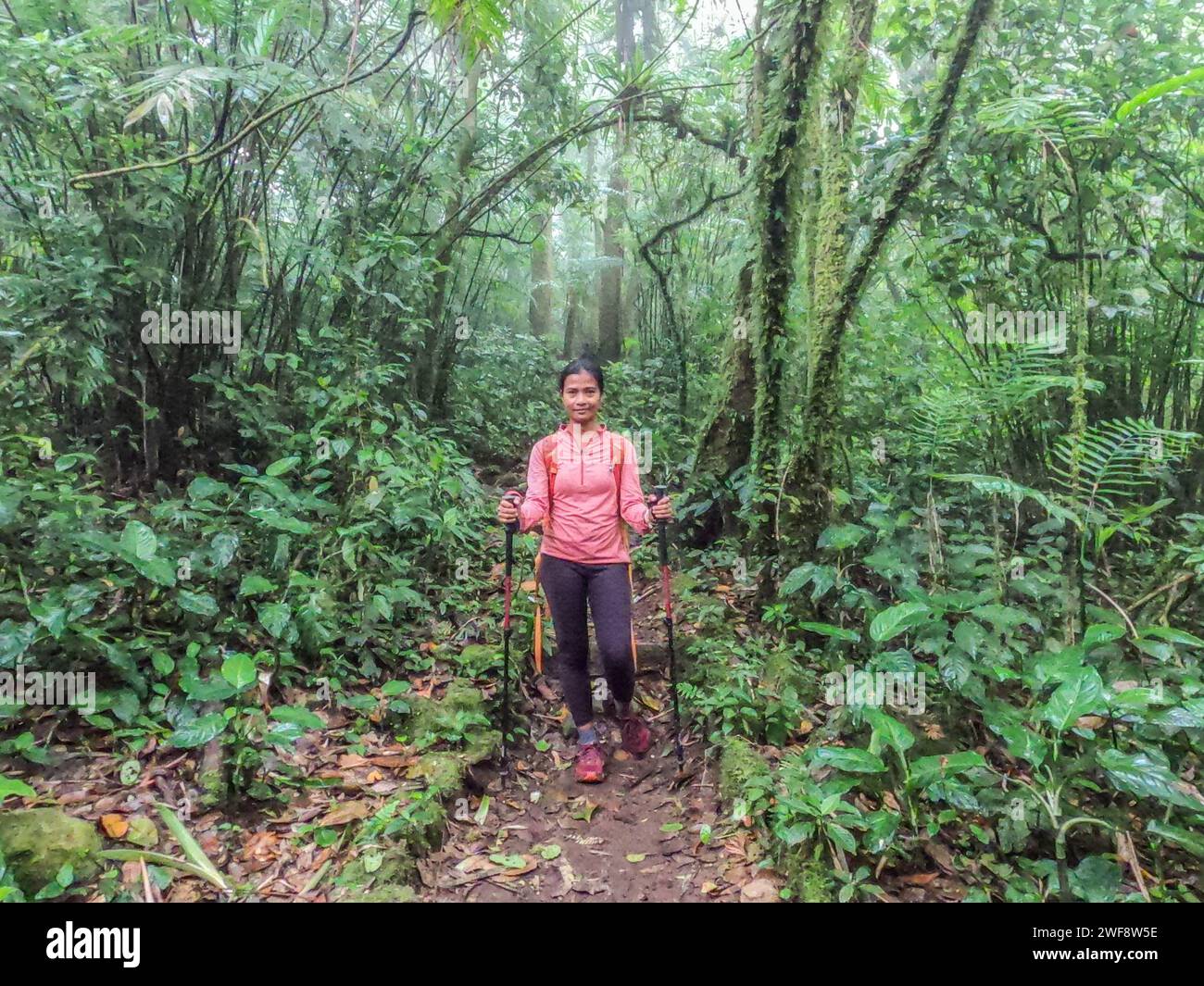 Trekking in the jungle on Mombacho Volcano Reserve, Granada, Nicaragua ...