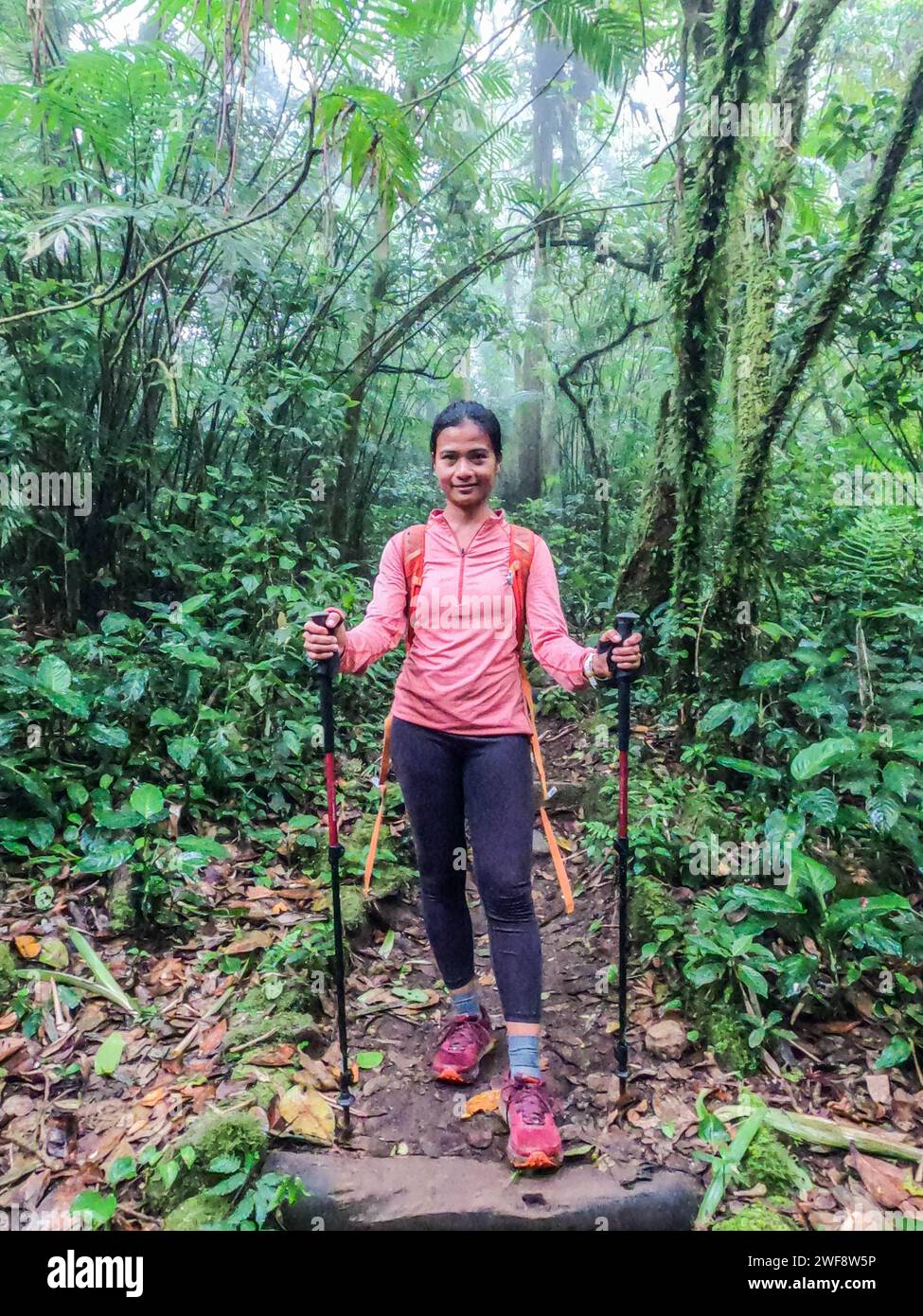 Trekking in the jungle on Mombacho Volcano Reserve, Granada, Nicaragua ...